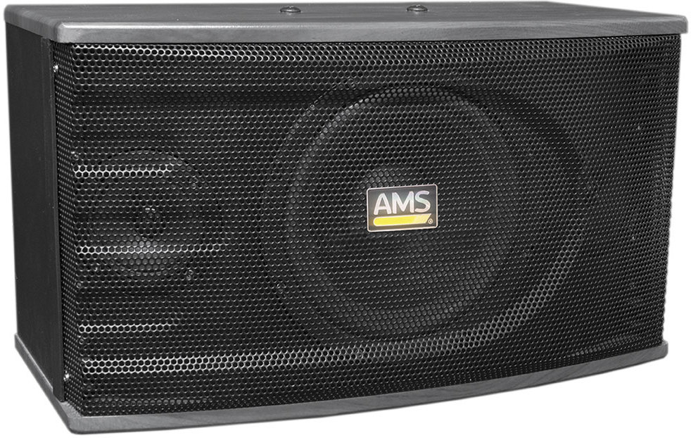 AudioMusic AMS 150 Disco - DJMania