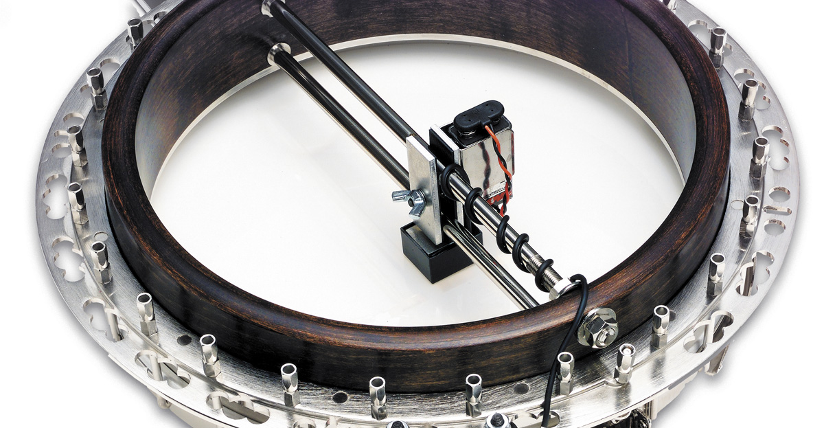 Fishman Rare Earth Banjo - DJMania