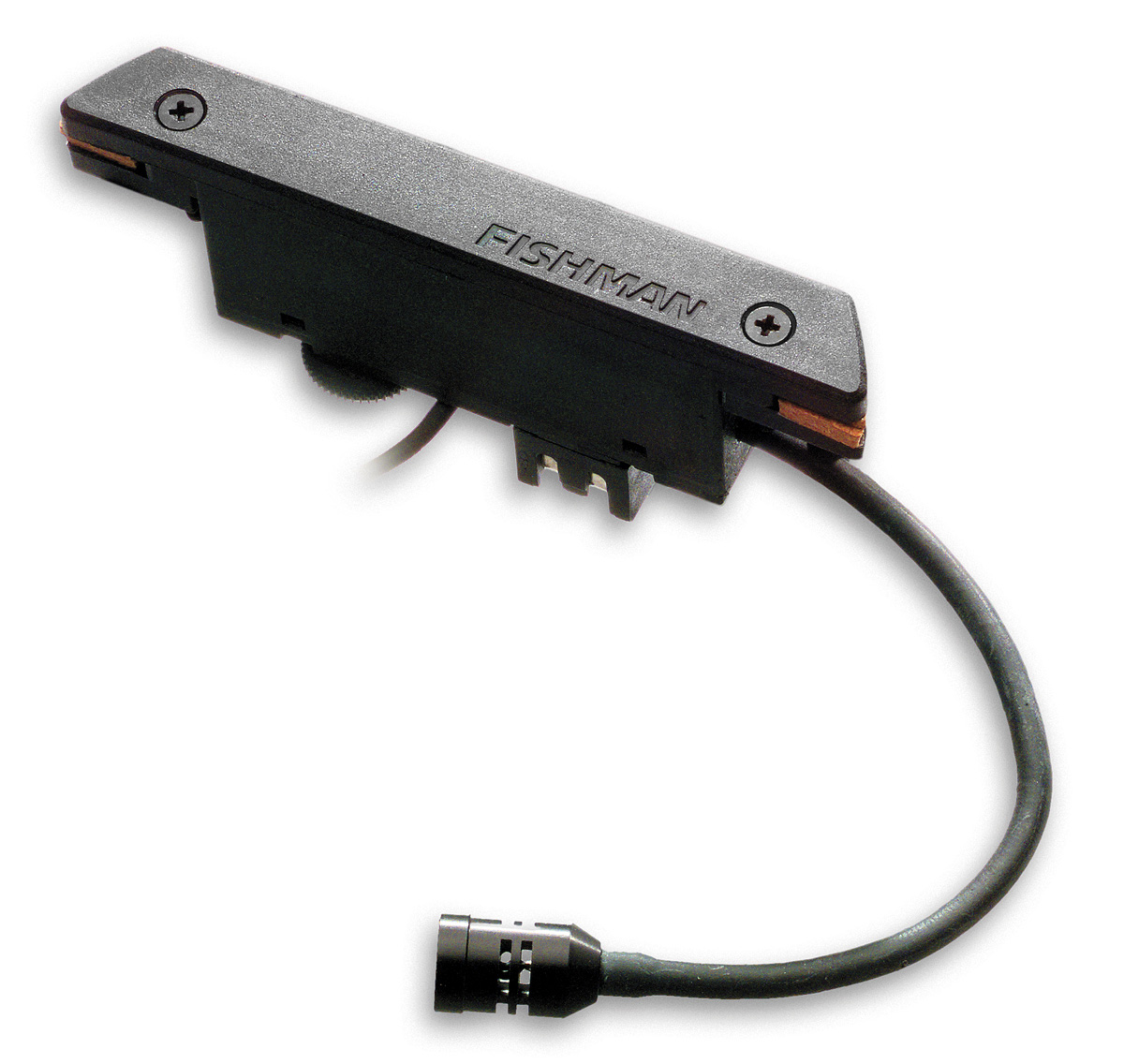 Fishman Rare Earth Blend - DJMania