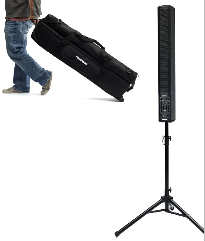 Fishman SA220 - DJMania