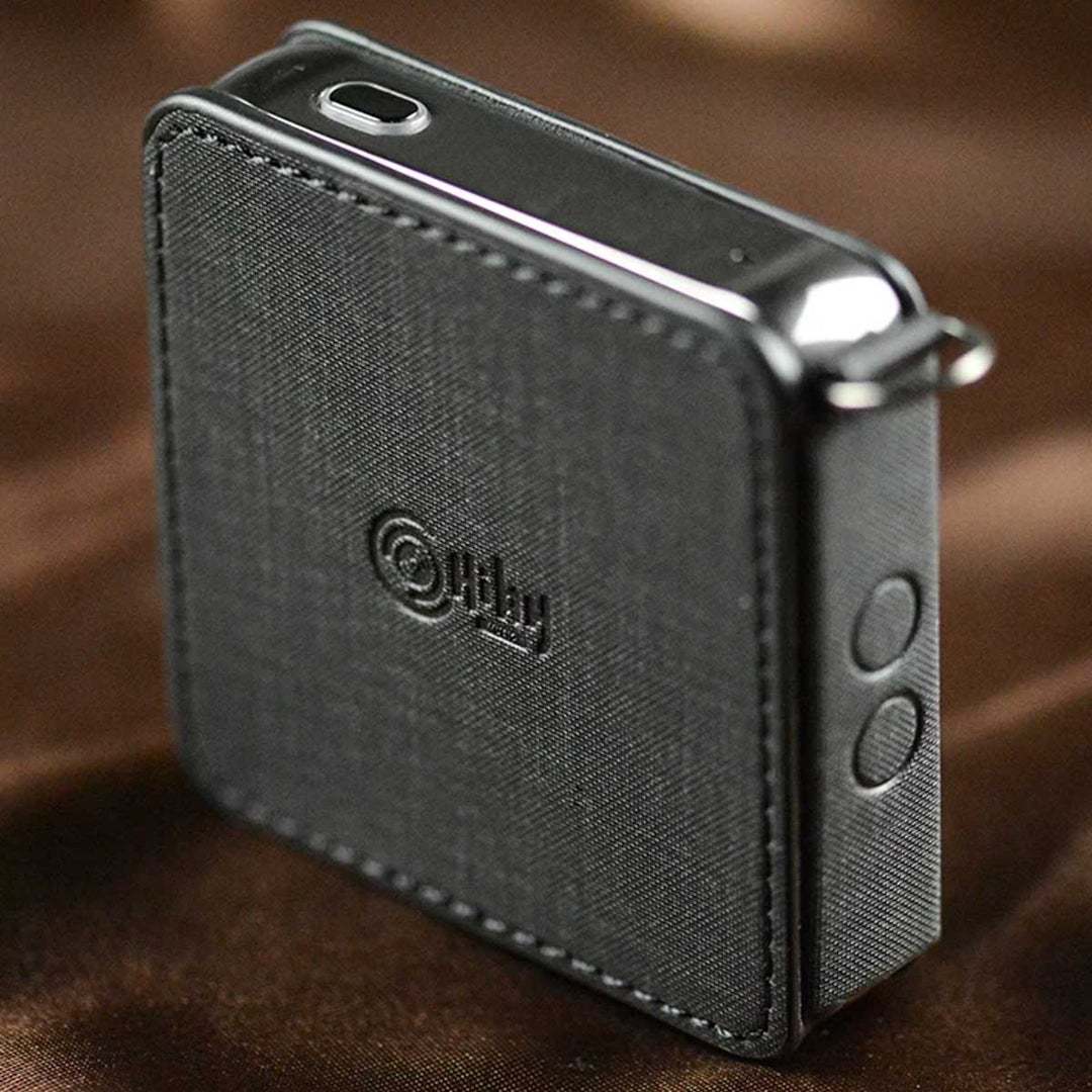 HiBy R2 Case - DJMania