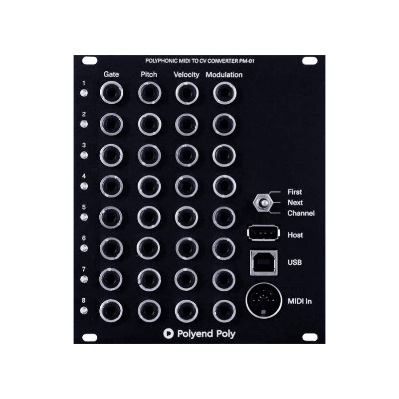 Polyend Poly - DJMania