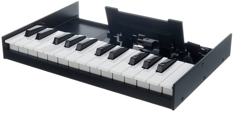 Roland K-25M - DJMania