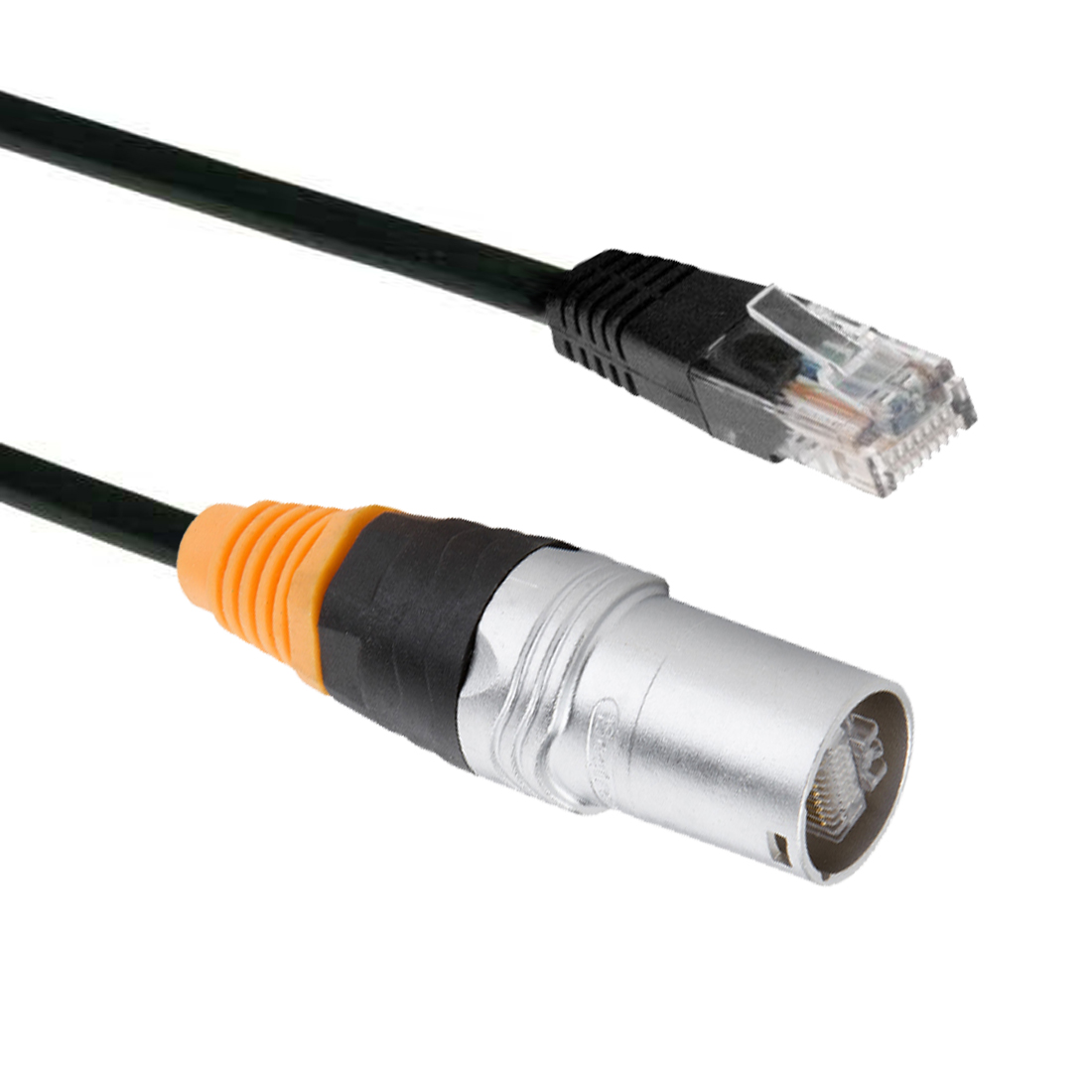 American Audio CAT6IP100FC 30m - DJMania