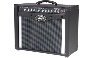 Peavey Envoy 110 - DJMania